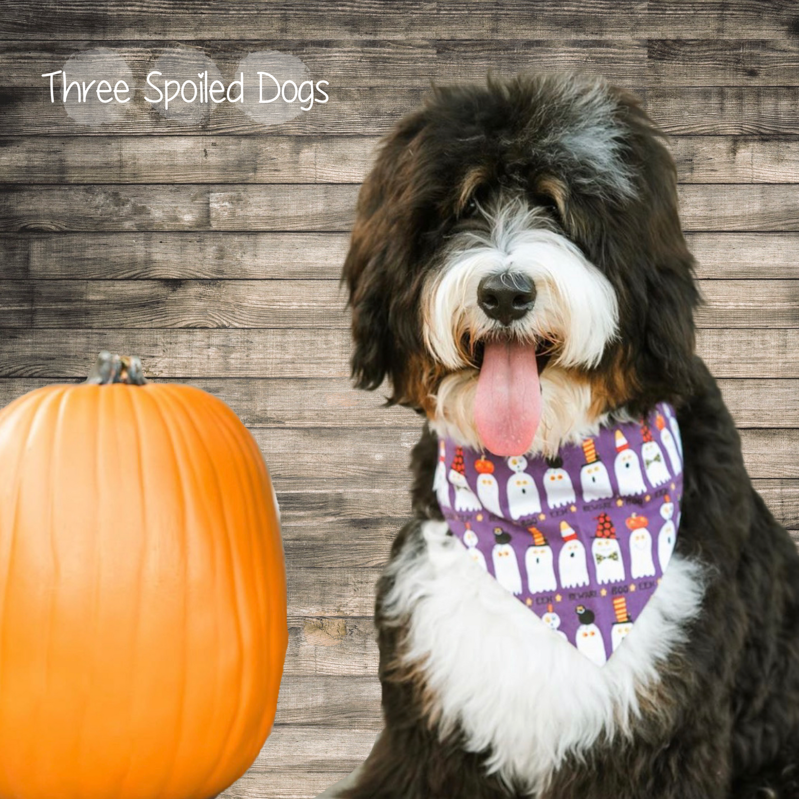 Halloween Bandanas with Dogs Name Extra Extra Small